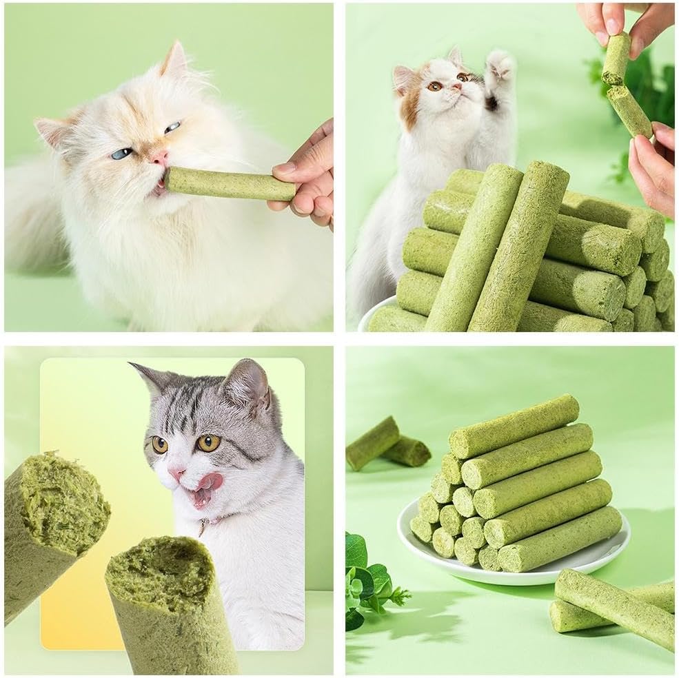 Cat Grass Teething Sticks (5 Pack) - Hairball & Digestion Relief ...