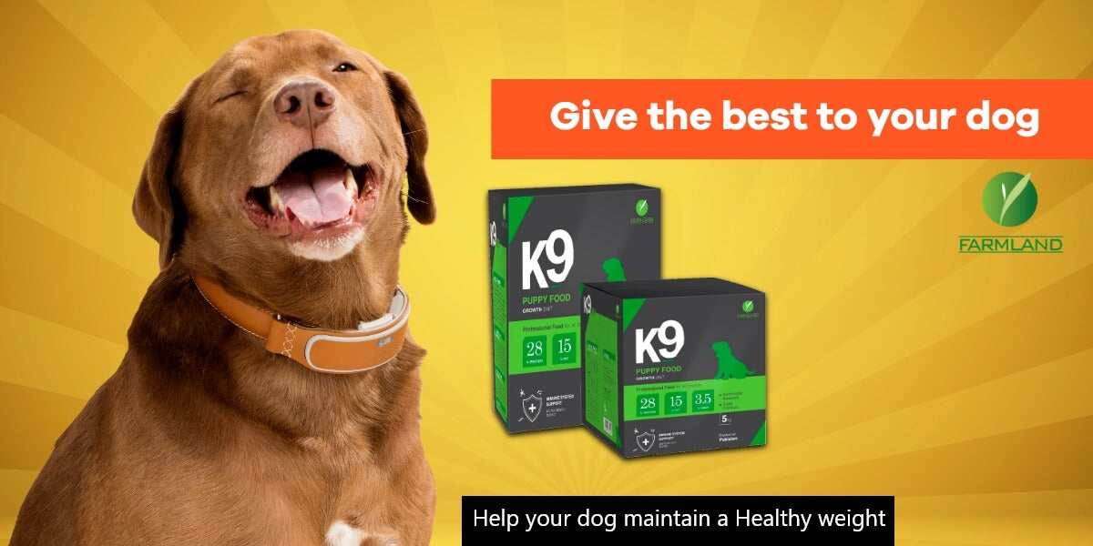 Buy K9 Puppy Dog Food - 5Kg in Pakistan in best prices – PetsPark.pk