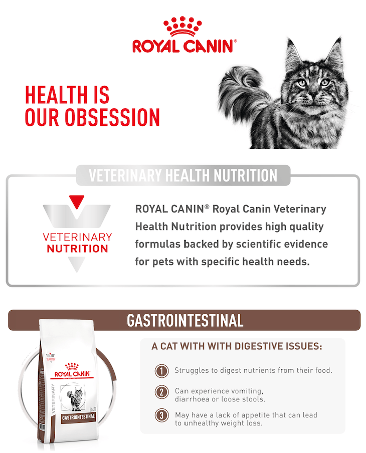 Royal Canin Gastro Adult Cat 2kg | Digestive Care Formula – PetsPark.pk