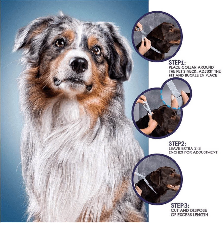 xxbuy Flea & Tick Collar in Pakistan – PetsPark.pk