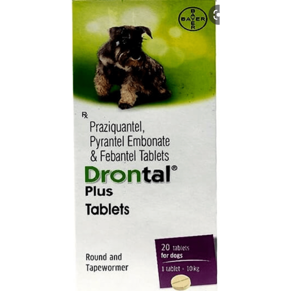 Drontal Plus for Puppies and Dogs puppy deworming pakistan drontal ...