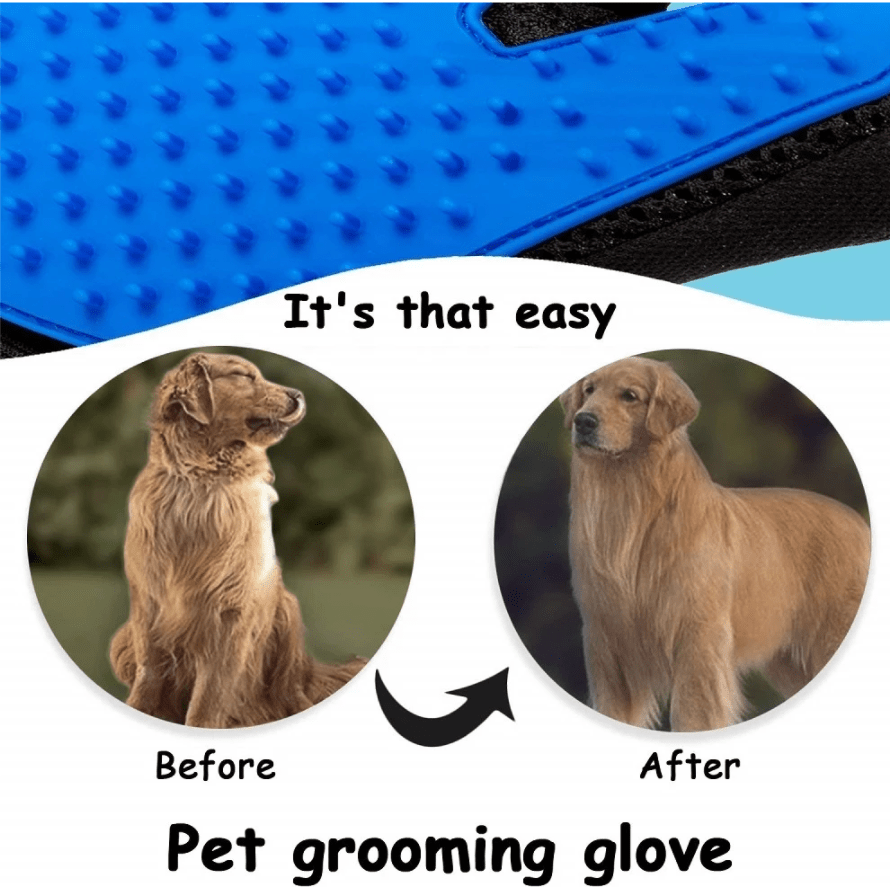 Grooming Gloves for Dogs & Cats | Shedding & Massage Brush – PetsPark.pk