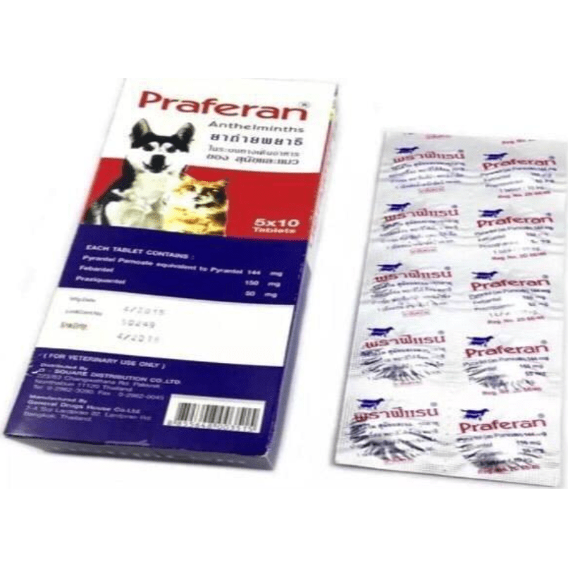 Praferan Deworming for Cats and Dogs (01 Tablet) - Pets Park PK ...